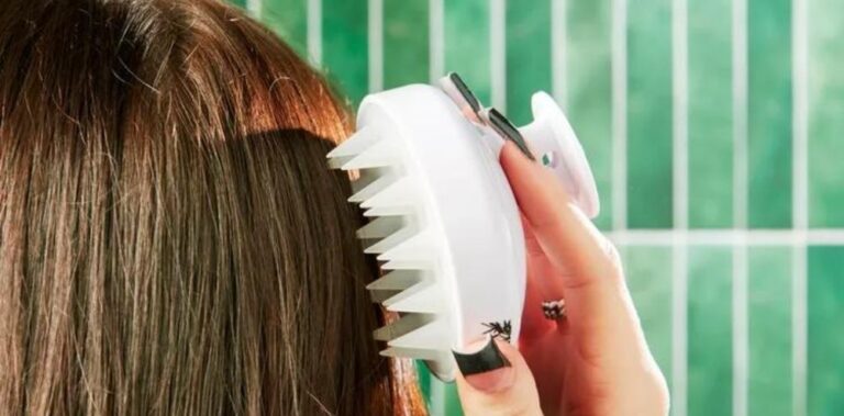 Scalp Stimulating Hair Brush: Boost Hair Health and Scalp Care ...